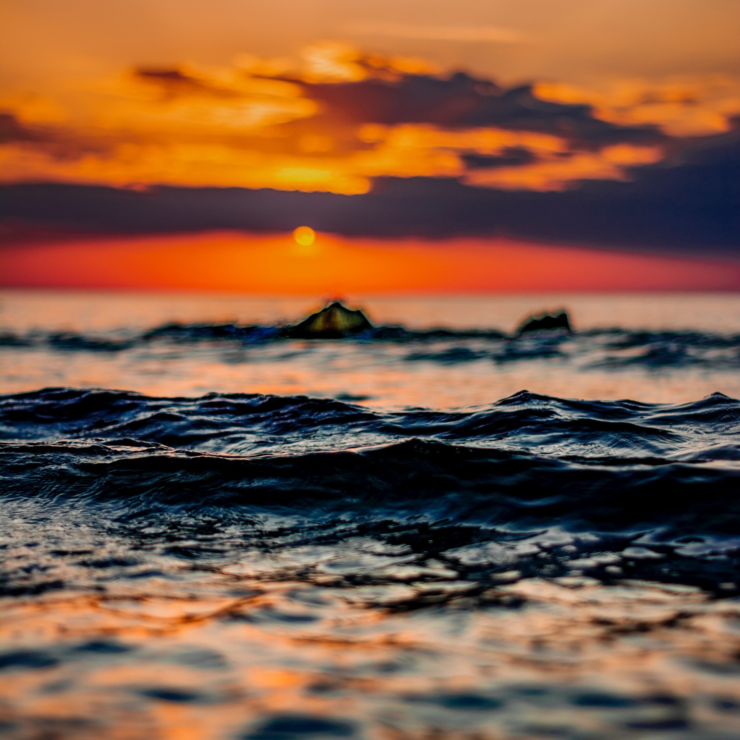 WARM BREEZE - Sync Flies