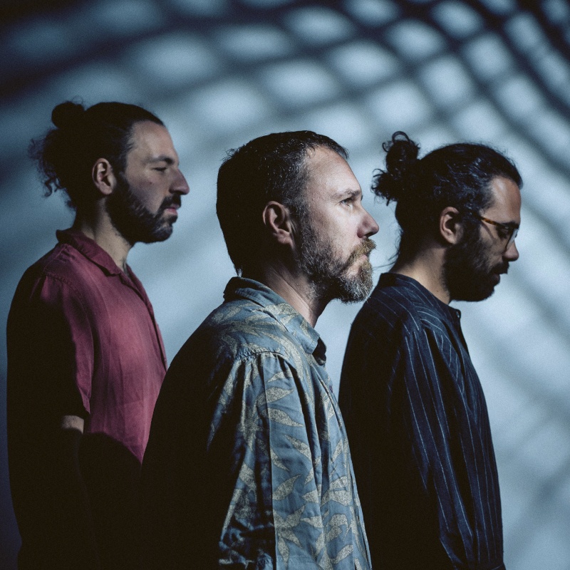 Psyché - Sync Flies